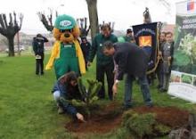 CONAF lanza libro sobre su historia y rol en el desarrollo forestal de ...